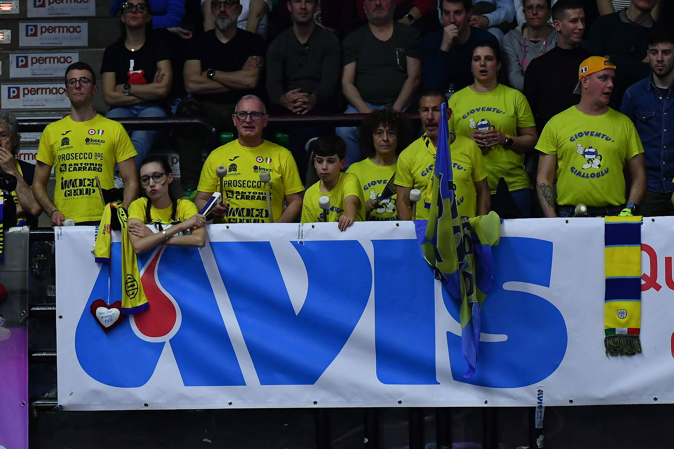 UN SUCCESSO IL WEEKEND AVIS AL PALAVERDE! – Imoco Volley Conegliano
